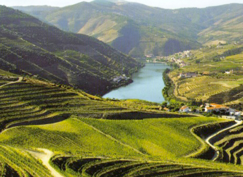 PORTO ET LA RÉGION DE MINHO – Simpatico Tours